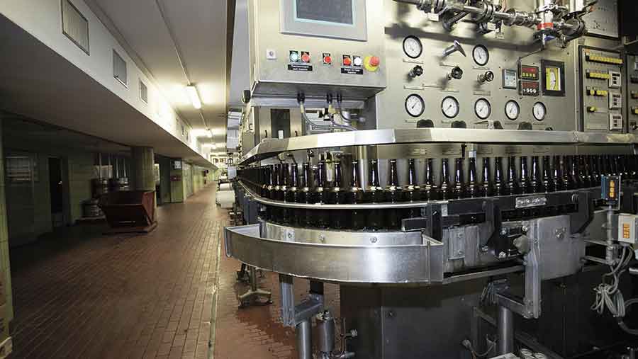 Distillers' dried grains with solubles a viable feed for poultry ...