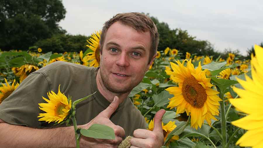 Arable farmer grows hectare of sunflowers for wildlife and charity ...