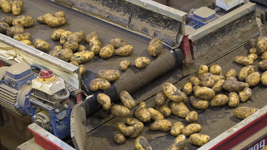 Spud Watch: Imazalil label change creates harvesting headache - Farmers ...