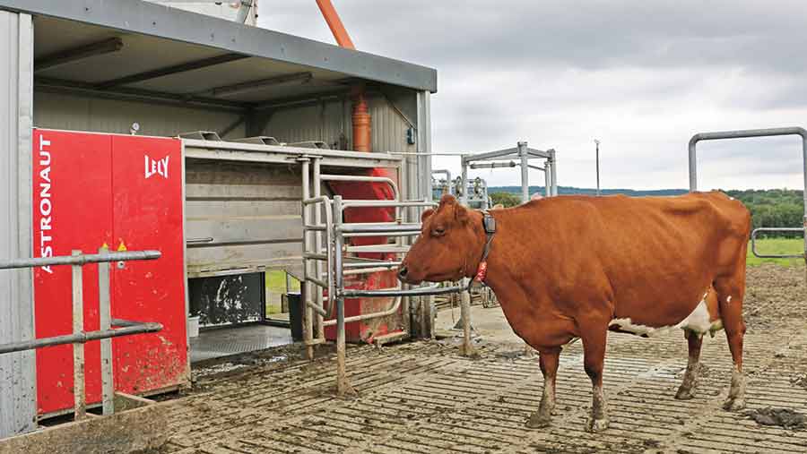 Mobile milking parlour helps German farmer add value - Farmers Weekly