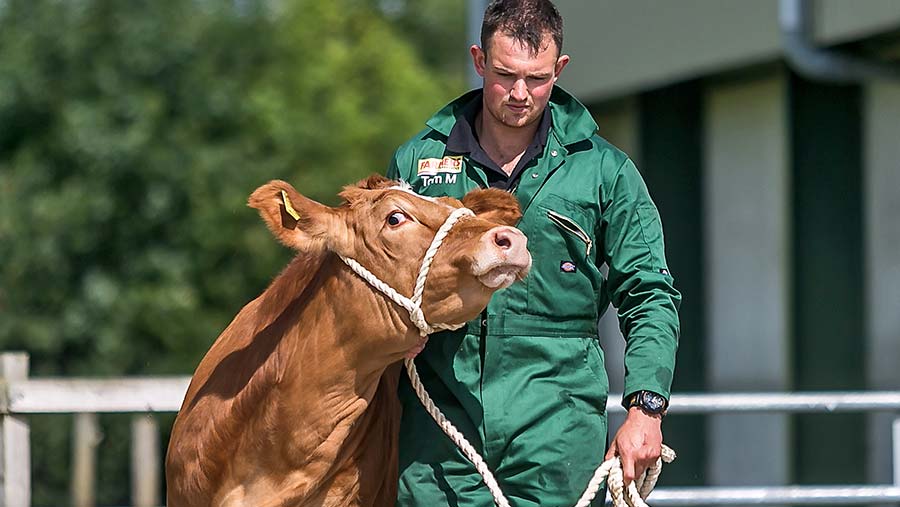 Farmers Apprentice episode 4: Getting Practical - Farmers Weekly