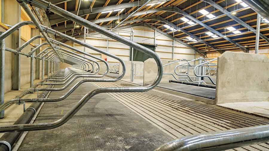 What's In Your Livestock Shed visits state-of-the-art dry-cow house ...