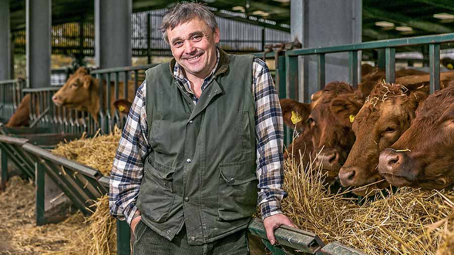 What’s in your shed? Inside a state-of-the-art beef shed - Farmers Weekly