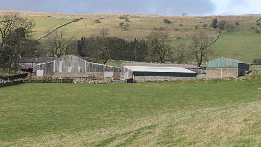 Five-year tenancy available on Cumbria stock farm - Farmers Weekly