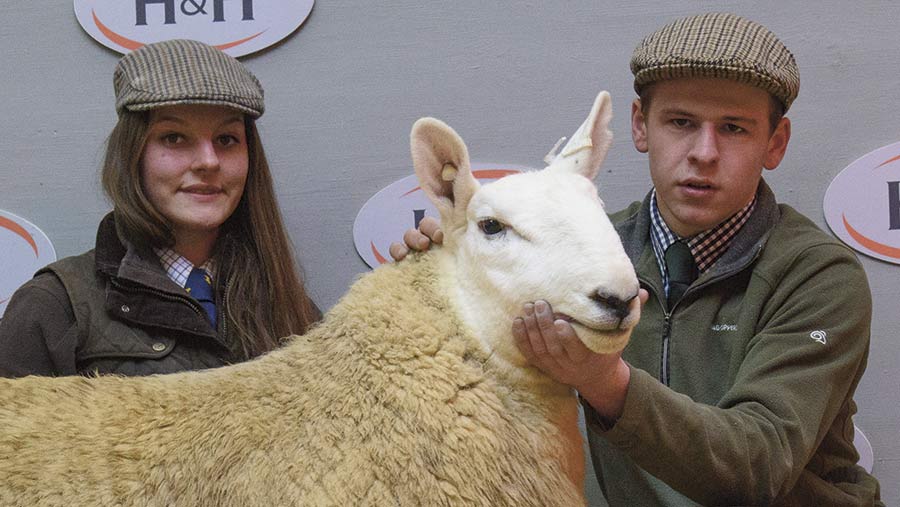 North Country Cheviots set female high at Lockerbie - Farmers Weekly