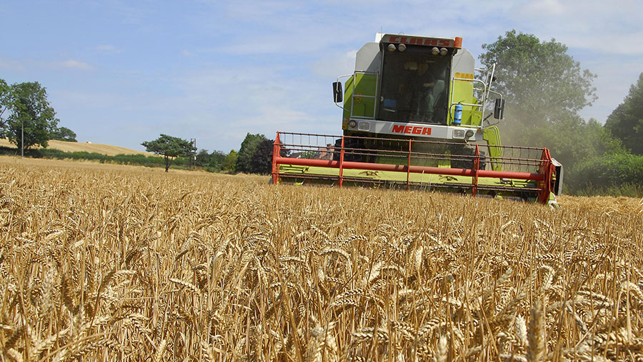Free harvest advice – sign up for Farmers Weekly's webinar - Farmers Weekly