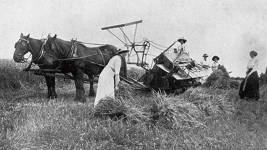 Photos: The First World War's Women's Land Army - Farmers Weekly