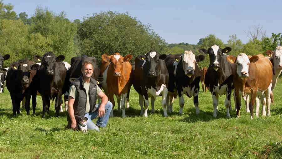 How a Somerset dairy farm slashed antibiotic use - Farmers Weekly
