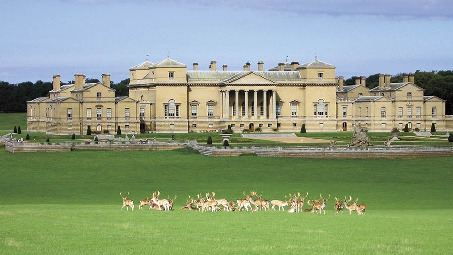 Will's Way: A wedding, a trespasser and a trip to Holkham - Farmers Weekly