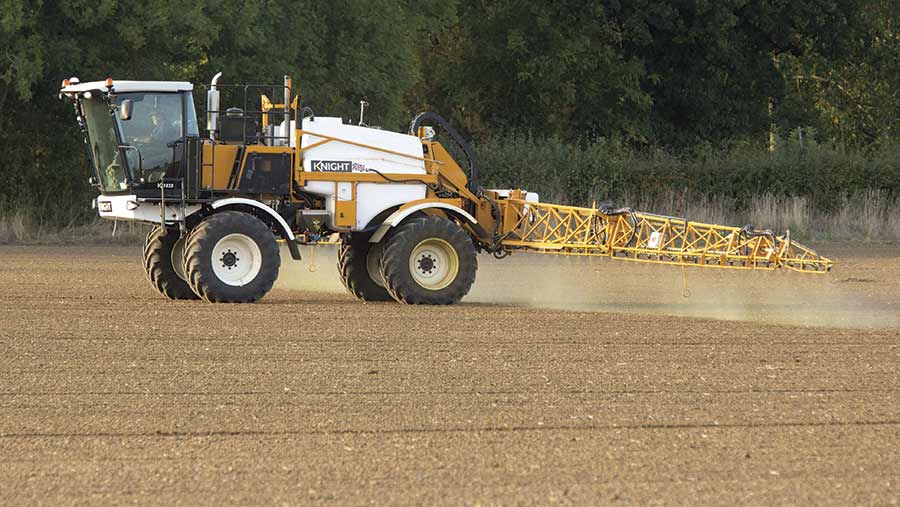 How to get on top of broad-leaved weeds - Farmers Weekly