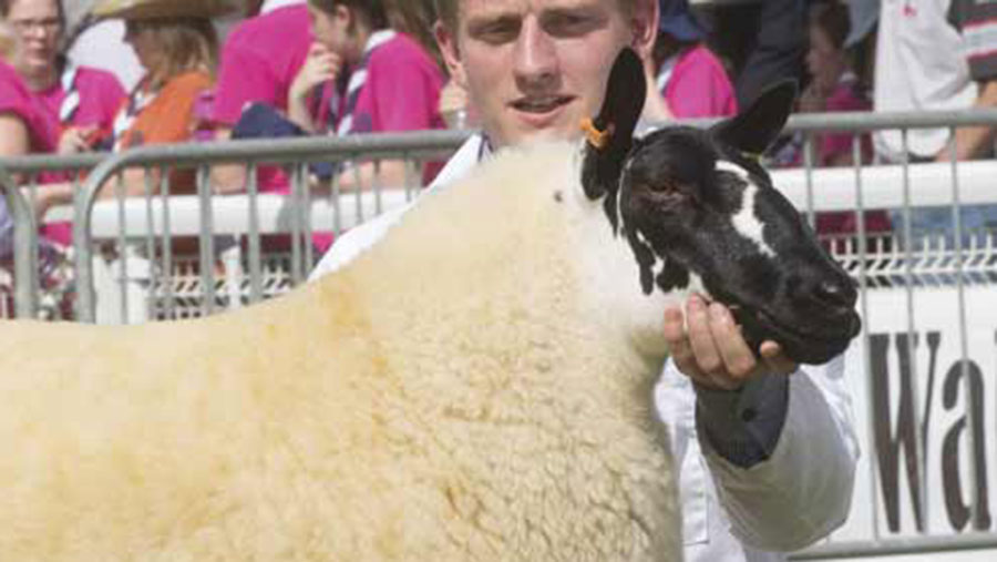 Royal Welsh Show sheep champion of champions renamed - Farmers Weekly