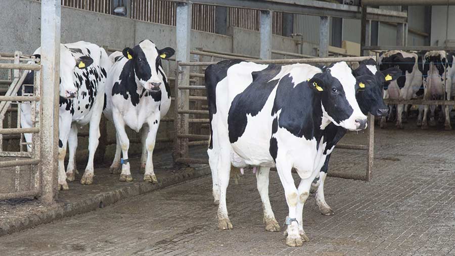 5 tips for mobility scoring on dairy farms - Farmers Weekly