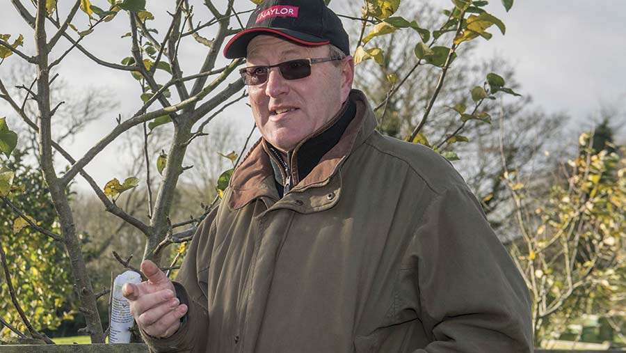 How an arable farmer benefited from planting apple trees - Farmers Weekly