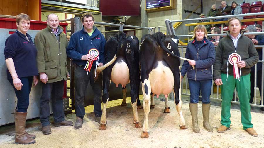 Sedgemoor heifers sell to 1,900gns - Farmers Weekly