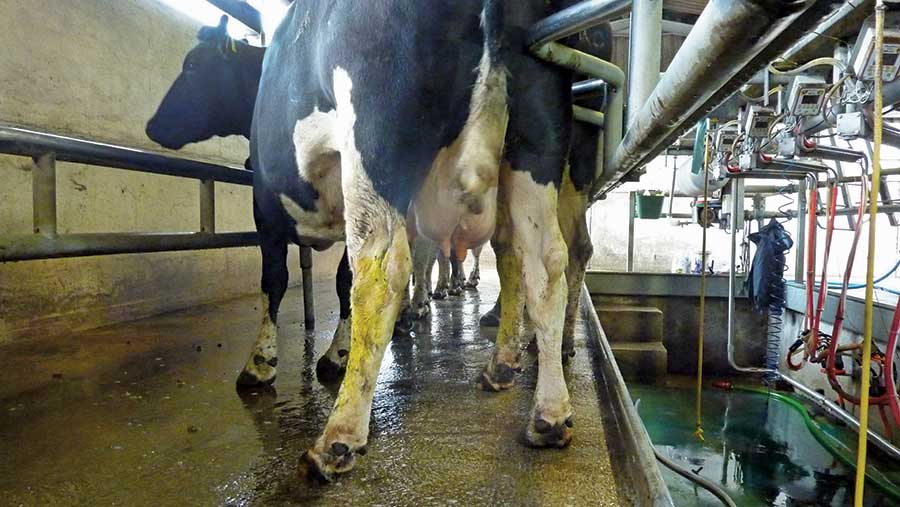 Video: 15 key steps to achieve best-practice drying-off protocol ...