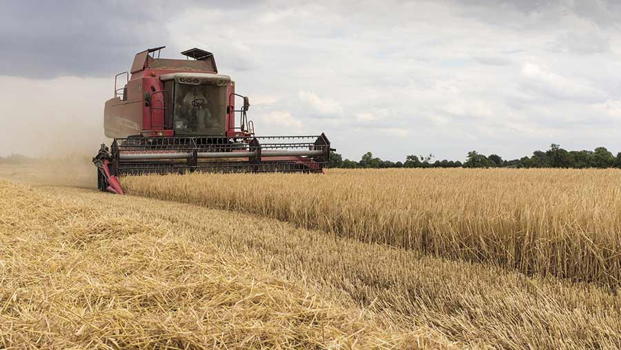 How to fight fungicide-resistant ramularia in spring barley - Farmers ...