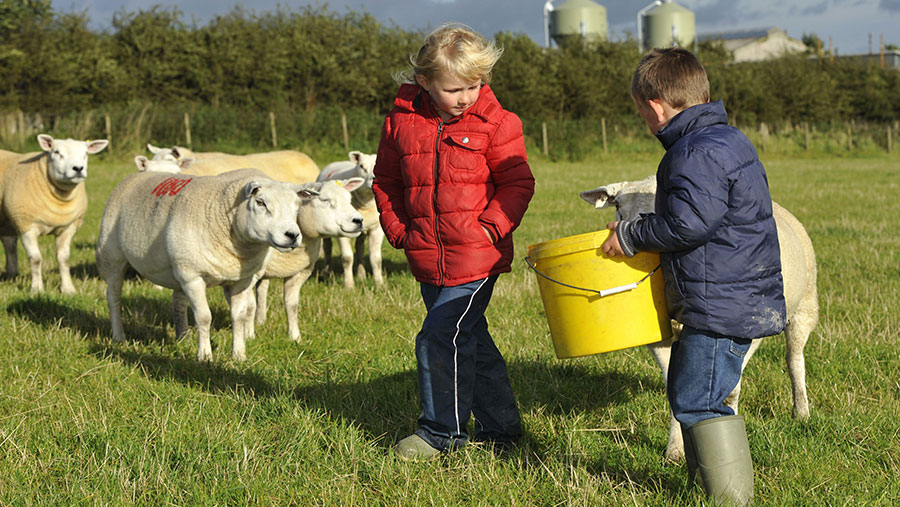 10 pieces of advice for young people starting in agriculture - Farmers ...