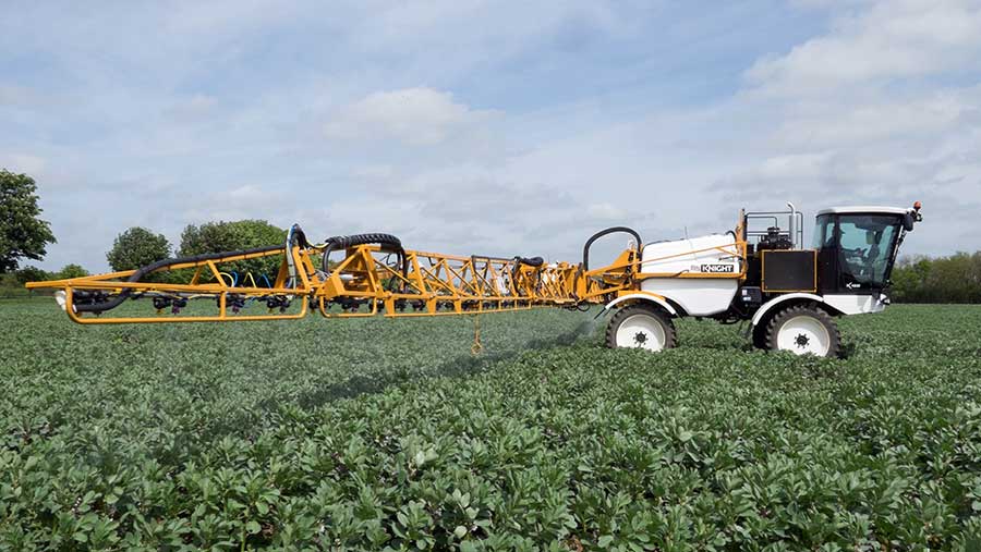 Crop Watch: Beans and linseed face pest onslaught - Farmers Weekly