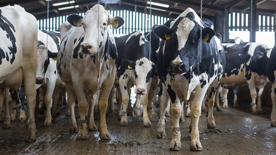 Brexit could create a ‘new scale’ of milk crisis - Farmers Weekly
