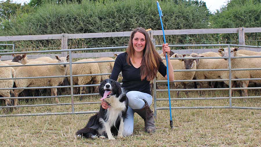 Video: How to train a sheepdog and pick the best breed - Farmers Weekly