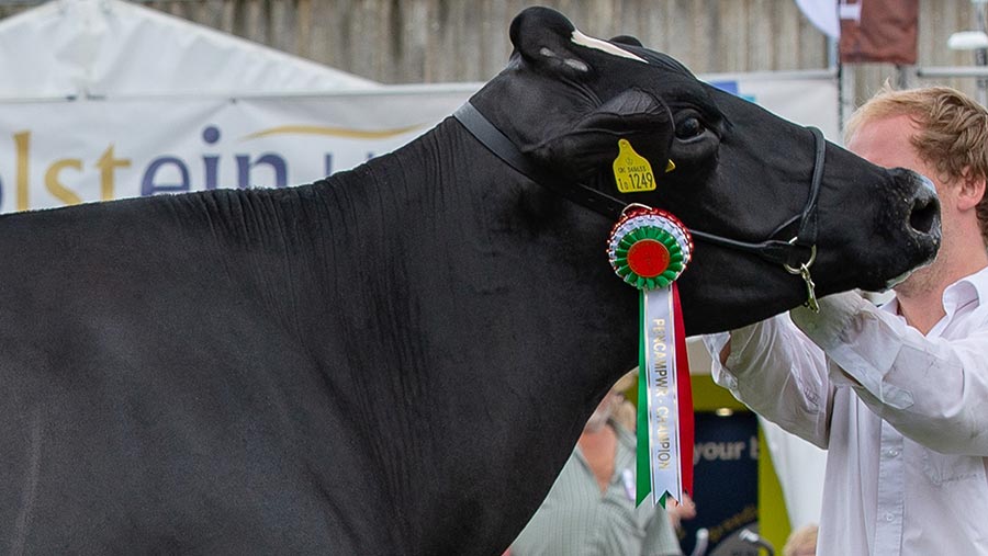 Royal Welsh 2018: Davlea Holsteins wins top dairy silverware - Farmers ...