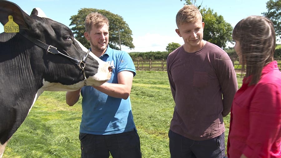 Video: Pembrokeshire herd named world’s best Holsteins - Farmers Weekly