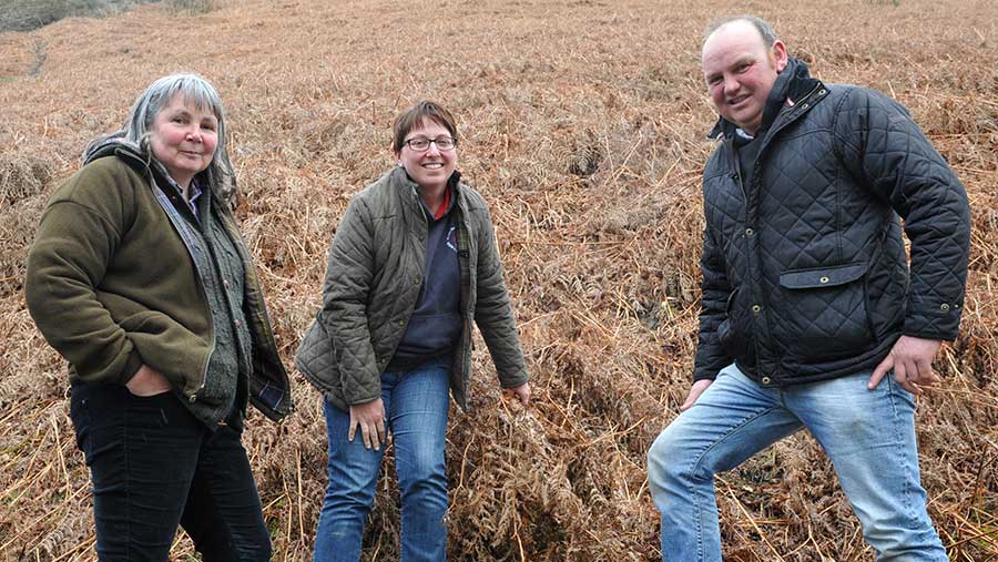 Bracken bashing project bids to reintroduce cattle - Farmers Weekly