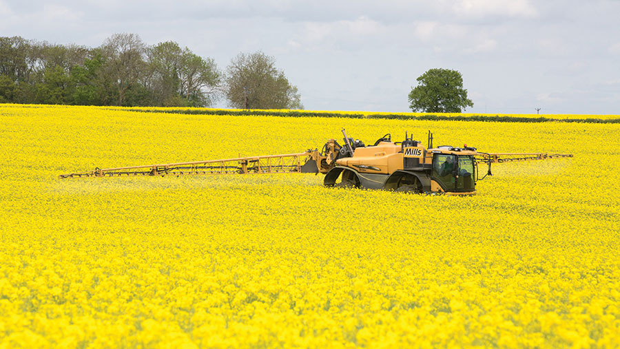 Kent grower shares secret to rapeseed world-record yield - Farmers Weekly