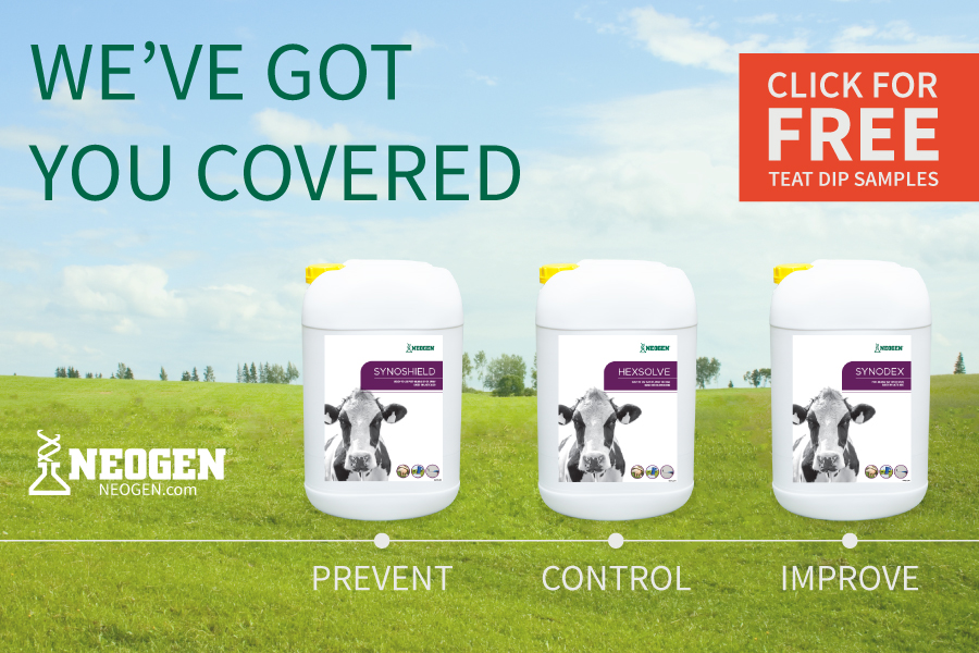 5 key points to consider when selecting teat dip for your herd ...