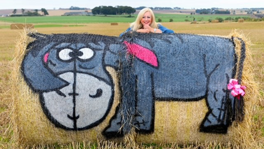 Farming’s ‘Banksy’ raises charity money with painted bales - Farmers Weekly
