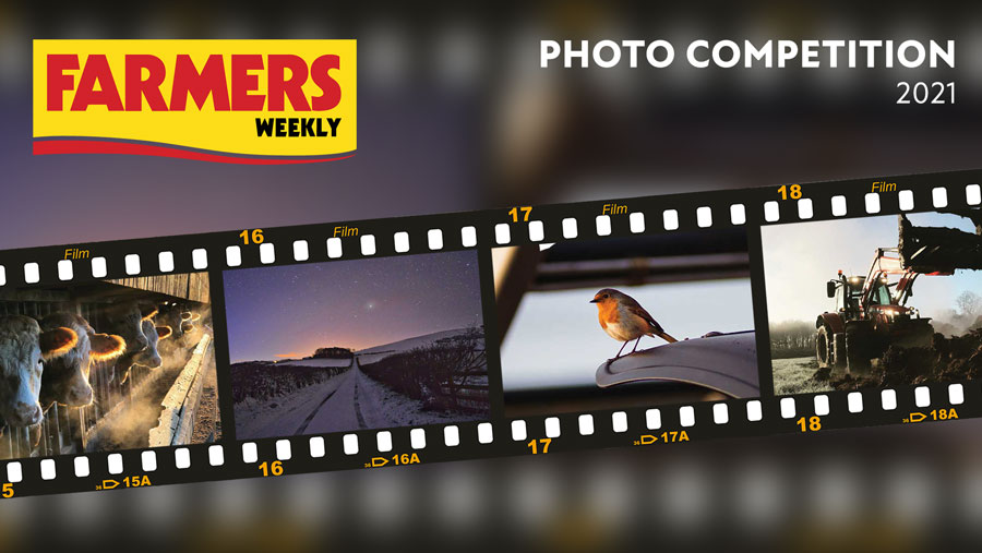 Farmers Weekly Photo Competition 2021 - Farmers Weekly