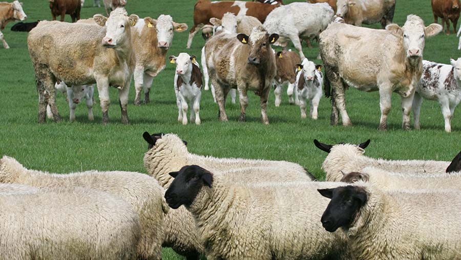 England's total income from farming up 17.7% in 2021 - Defra - Farmers ...