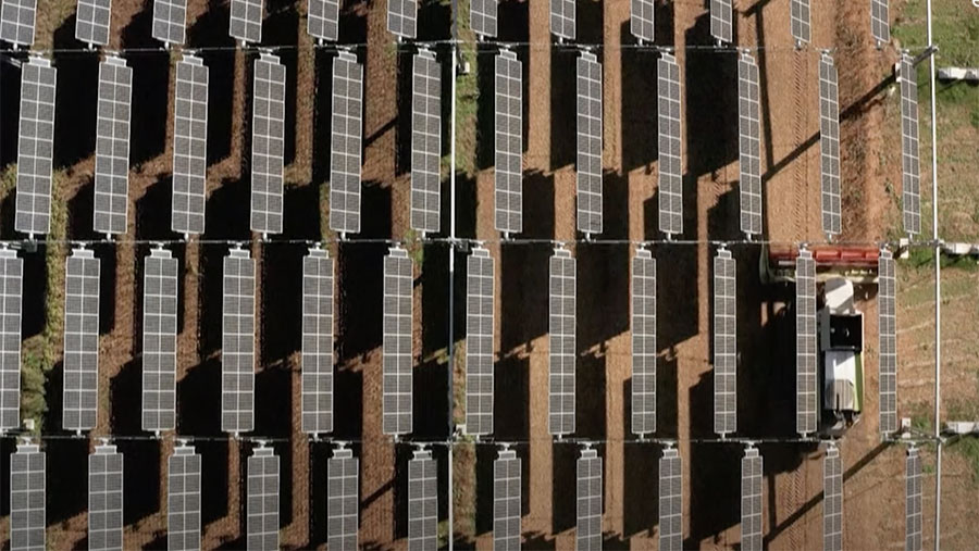 Video: Combine harvests crop under suspended solar panel array ...