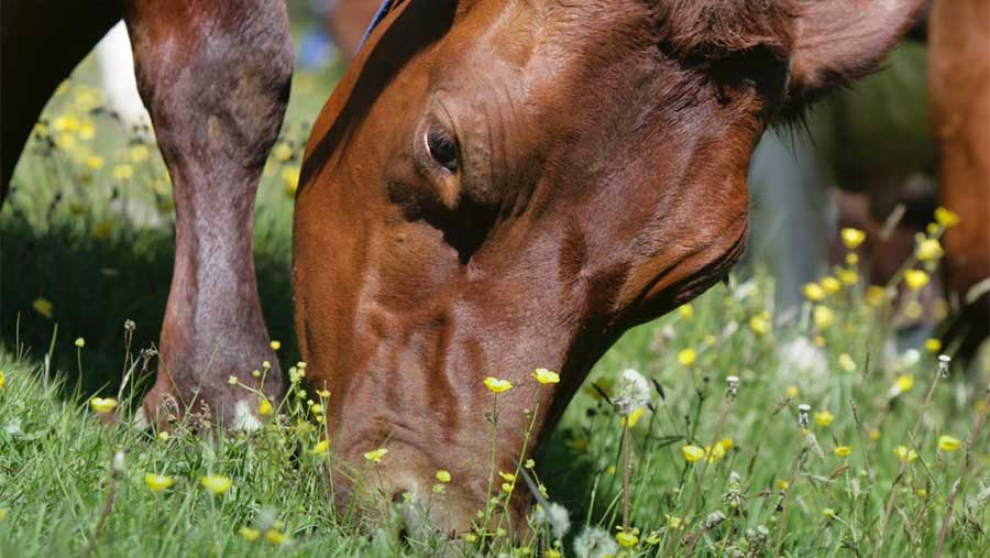 How does Arla’s incentive model work for dairy farmers? - Farmers Weekly