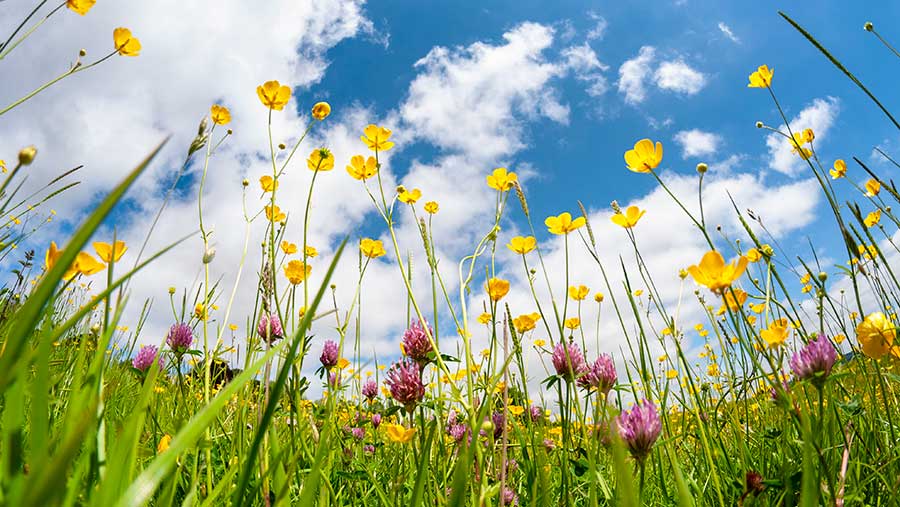 Supporting the transition to low carbon farming - Farmers Weekly