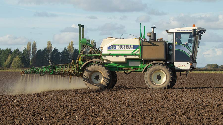 Crop Watch: Rapid bean emergence affects weed plans - Farmers Weekly