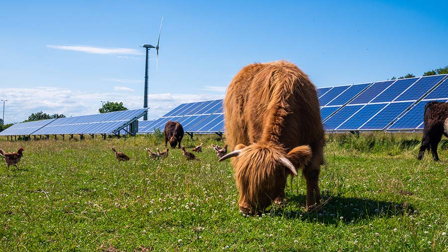 Webinar: Practical steps for farms transitioning to net zero - Farmers ...