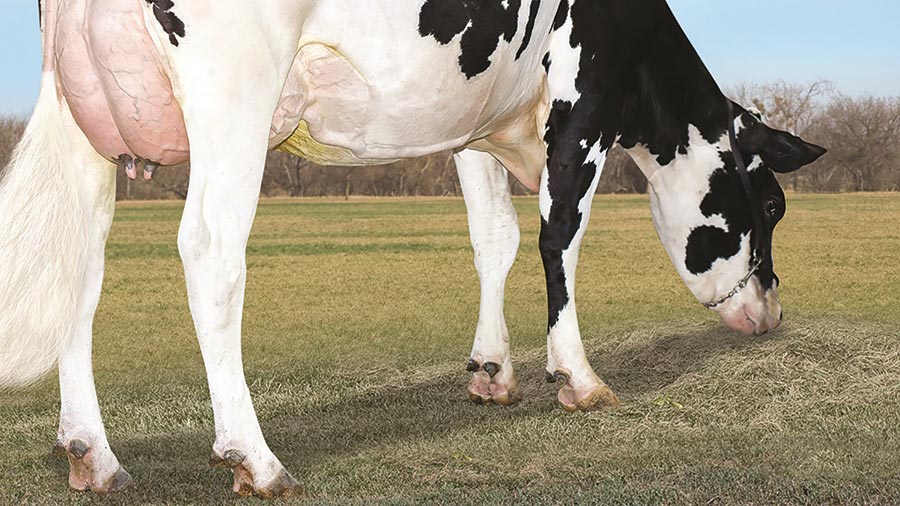 December 2022 bull proofs: latest rankings - Farmers Weekly