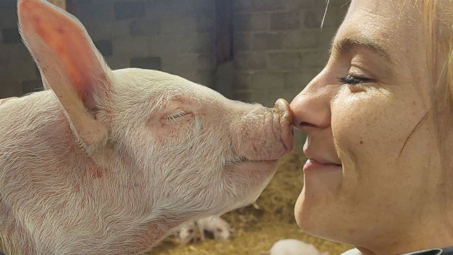 Photo of the Week: Love at first piglet - Farmers Weekly