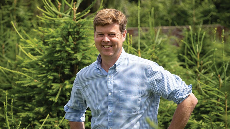 Farmer Focus: Christmas tree sales drop but paperwork on the rise ...