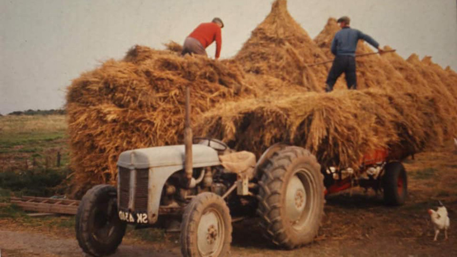 Photo of the Week: Farming memories - 1965 building a stack - Farmers ...