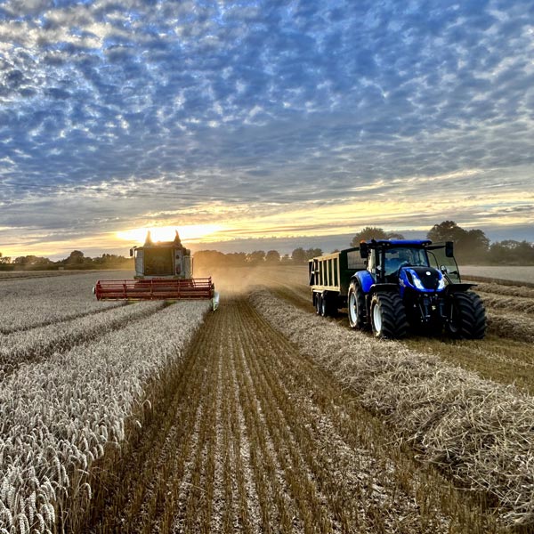 Harvest 2024 - Farmers Weekly