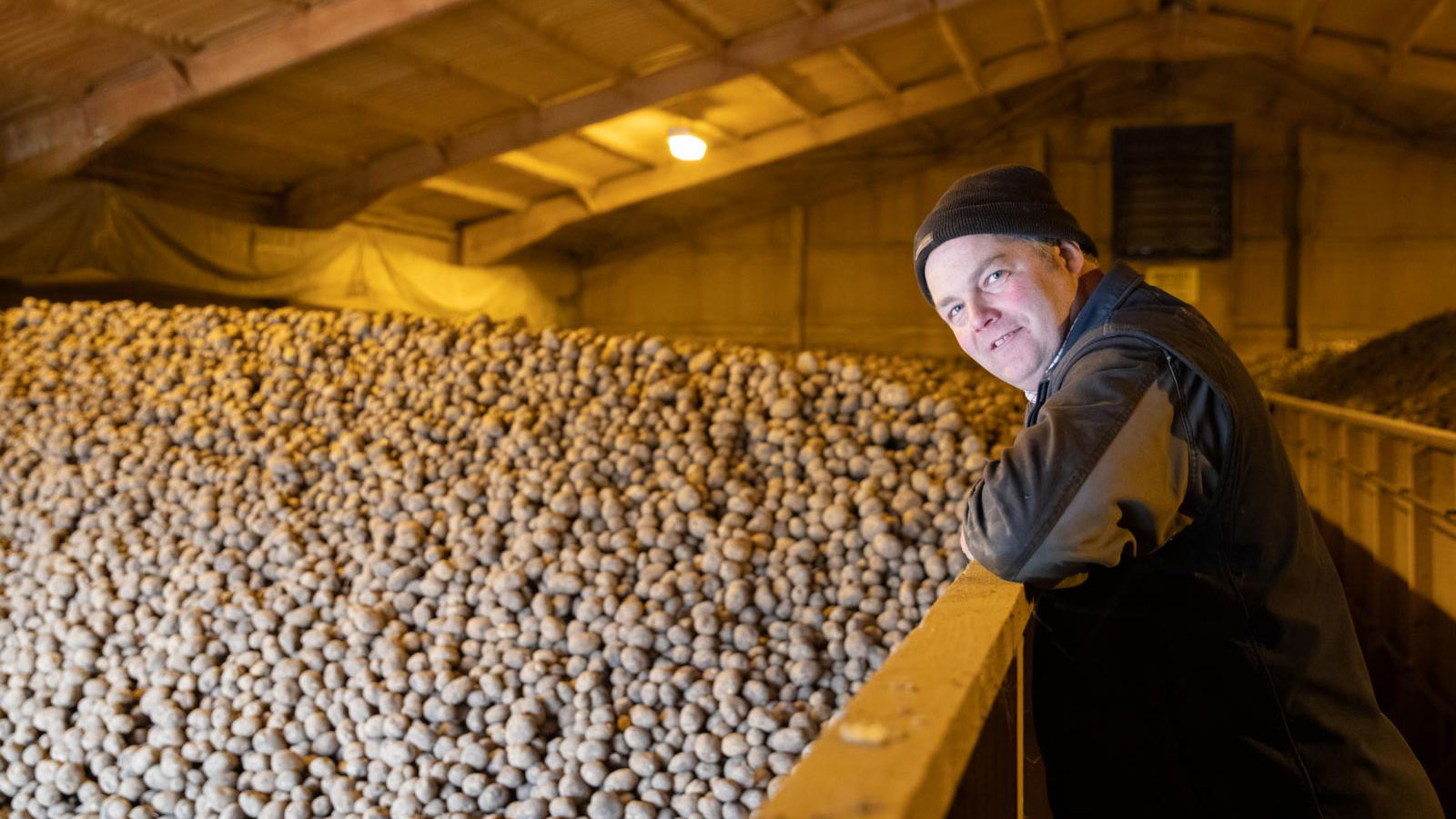Farmer Focus: This year's potato yields hit record low - Farmers Weekly