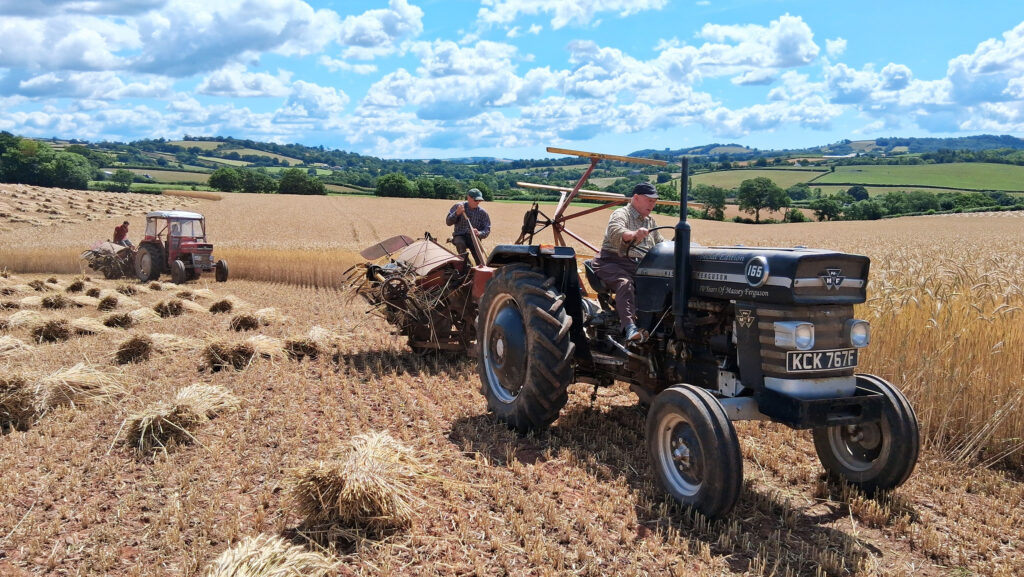 Photo of the Week: Thatching reed harvest and a special birthday ...