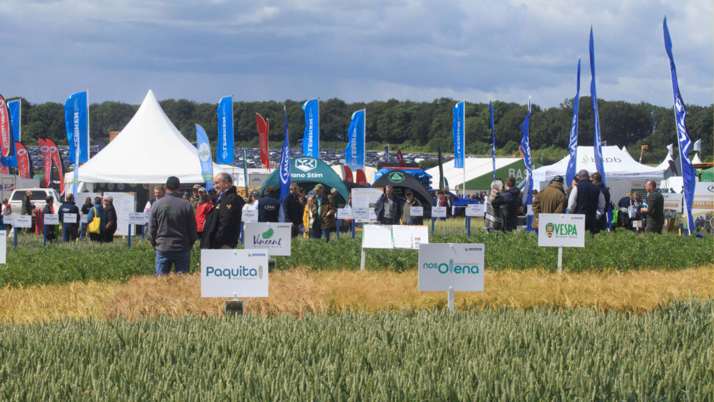 This Week in Farming: Cereals verdict, TB strategy and SFI - Farmers Weekly