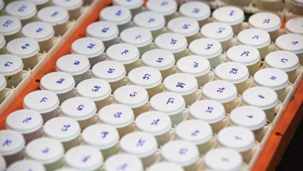 How bulk milk sampling tech helped slash mastitis cases - Farmers Weekly