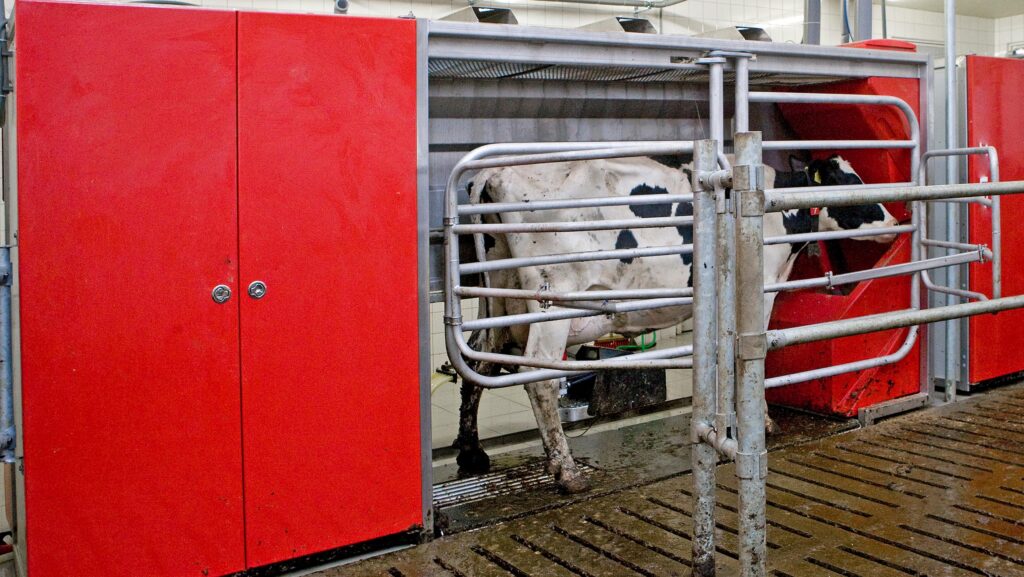3 focus areas for managing mastitis risk in robotic herds - Farmers Weekly