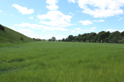 Productive Stock Farm - Property