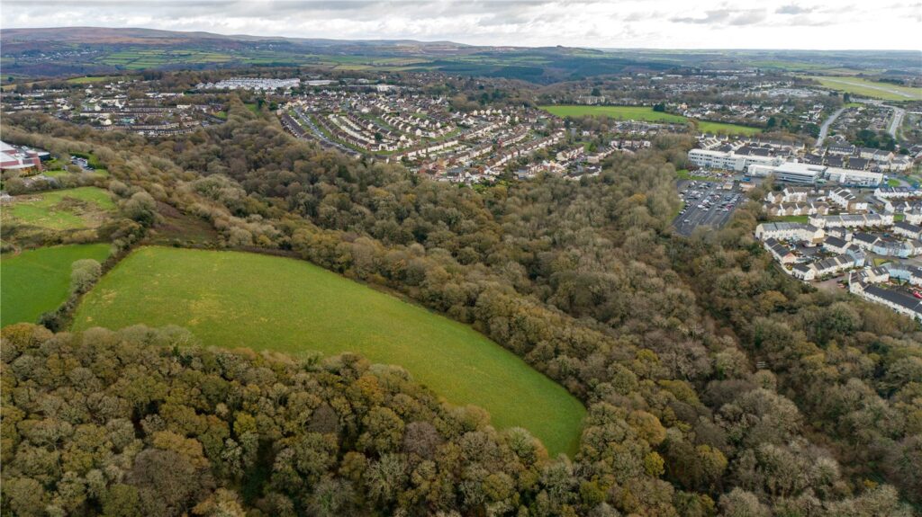 Woodland West Of Roborough, Tamerton Foliot, Plymouth, PL5 4LF - Property