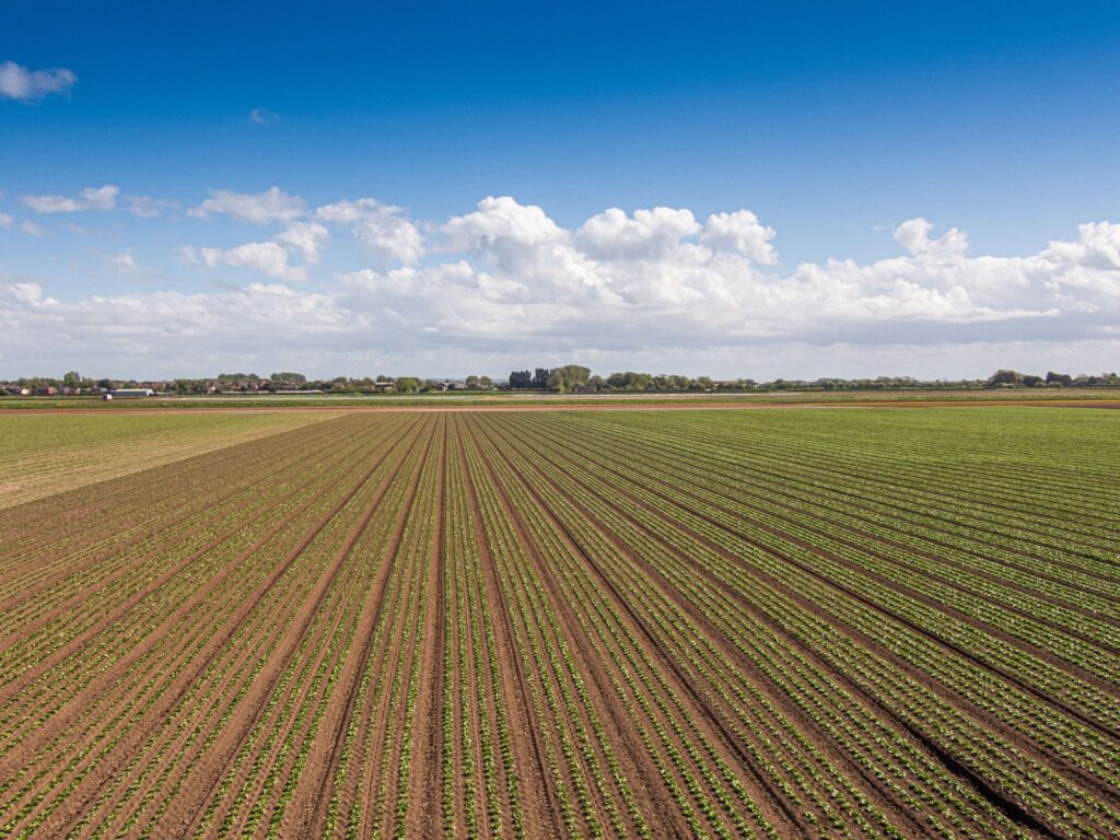 Liverpool Road, Tarleton, Preston - Property